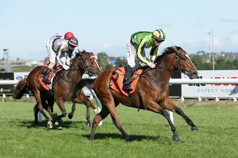 Robank Feeds – Our Passion is Equine